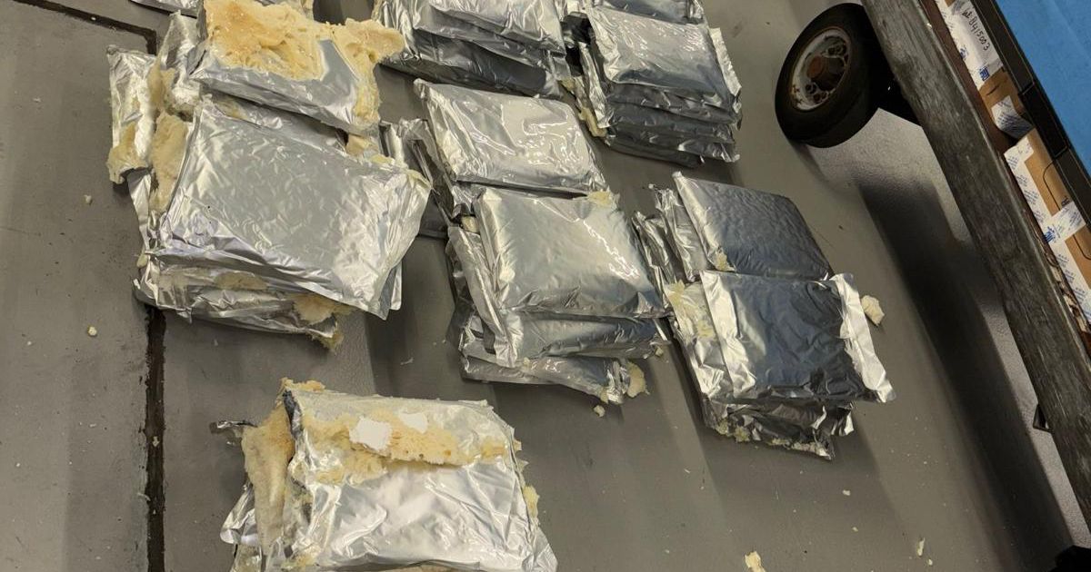 Douane vindt in korte tijd 230 kilo cannabis uit Thailand op Schiphol ...